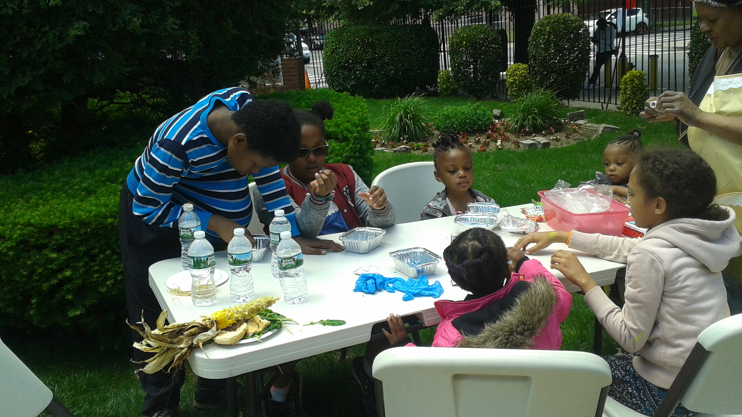 20170603_132323 – Radical Living